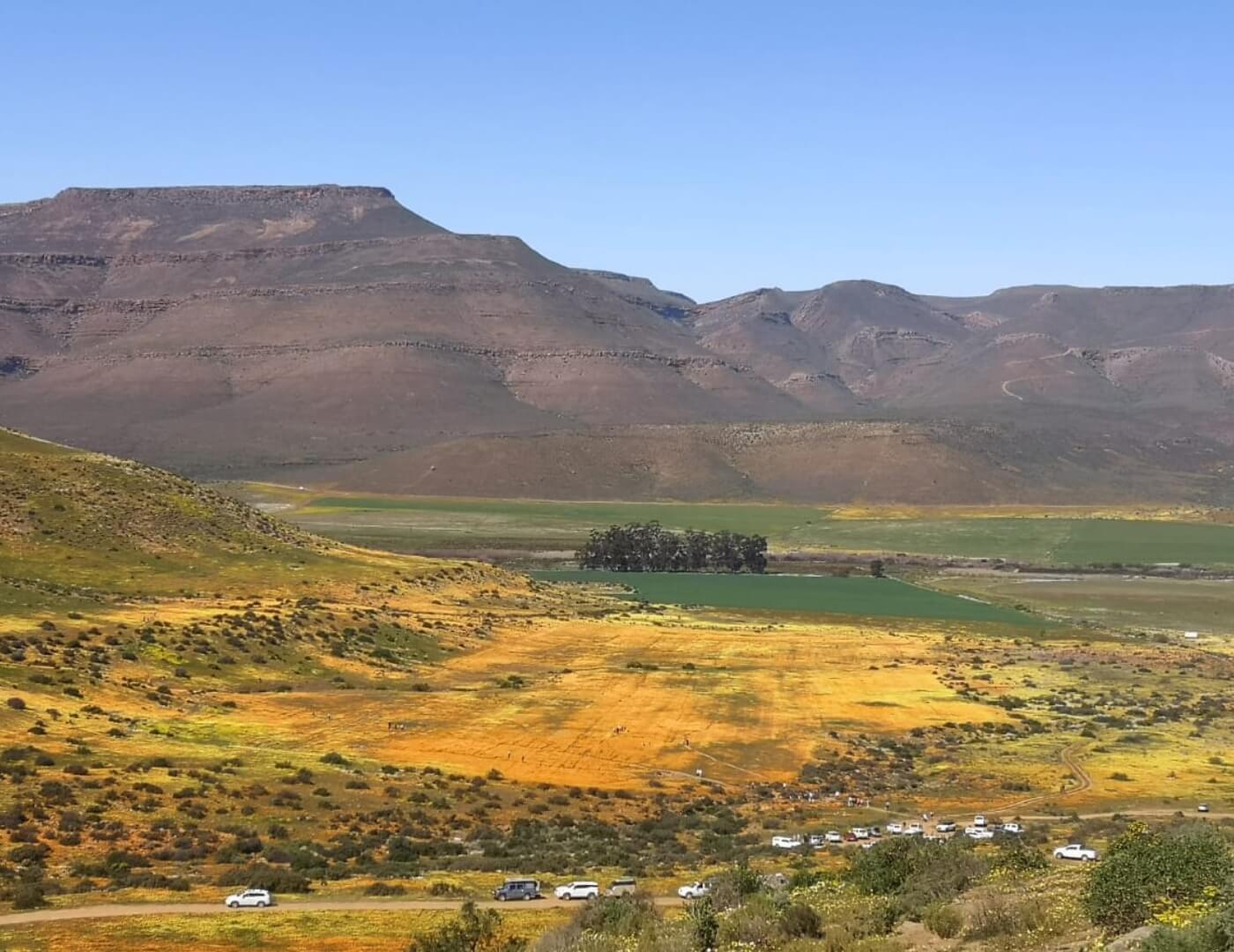 Northern Cape Tours - Kalahari Safaris